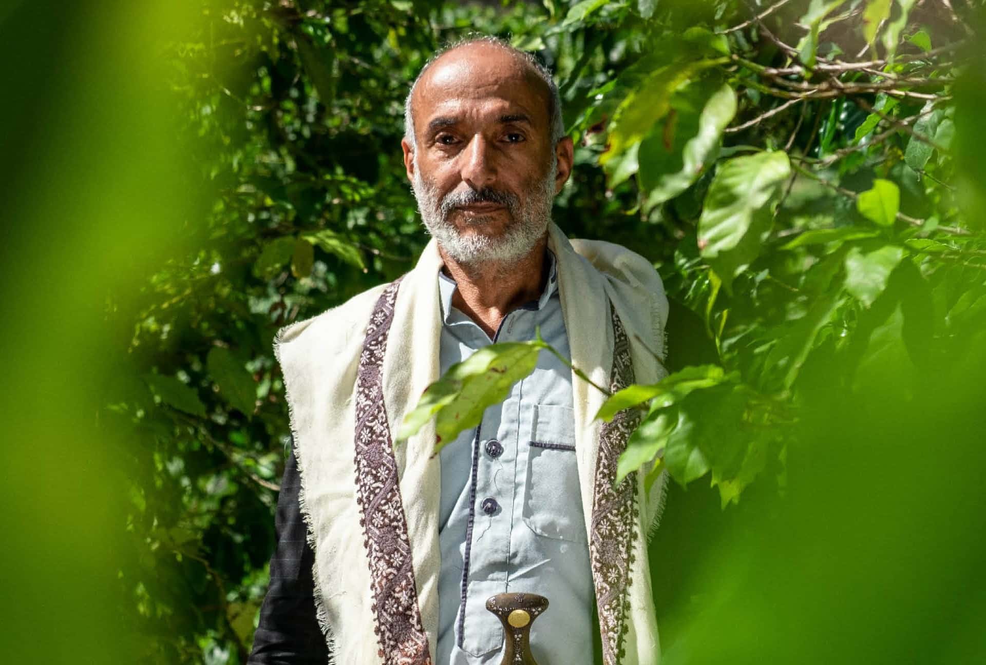 Faris Sheibani