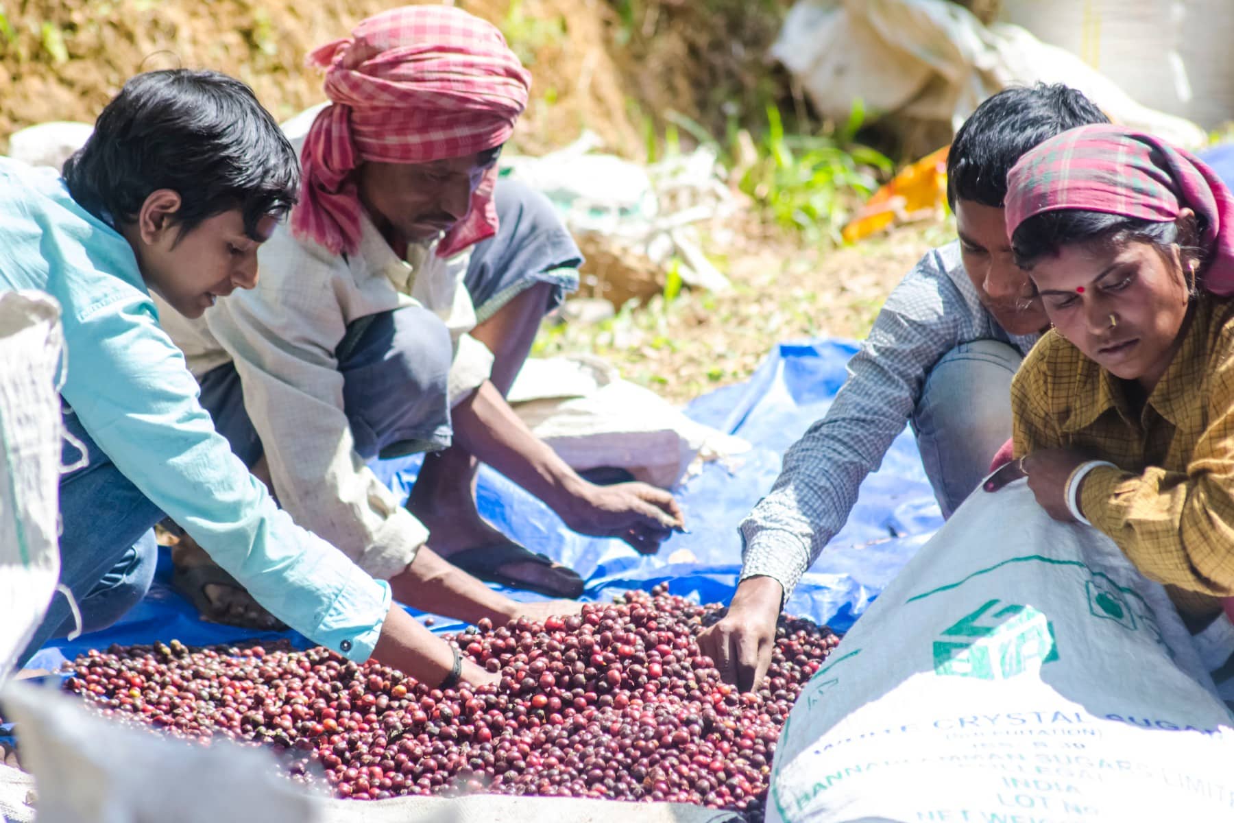 ICO and Coffee Board of India to host fifth World Coffee Conference ...