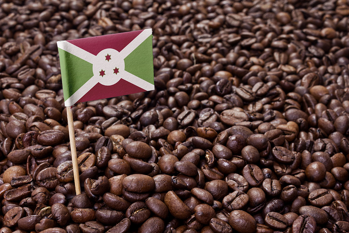 Natural processed coffee wins Burundi Cup of Excellence for the first ...