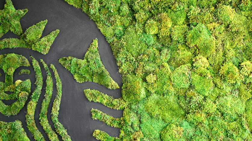 Starbucks announces sustainability commitment to be ‘resource positive ...