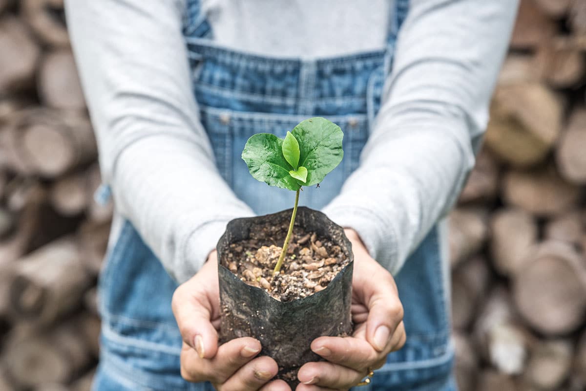 Coffee Kids raises awareness for young farmers - Global Coffee Report