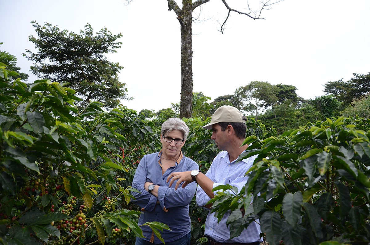 Dr Timothy Schilling of WCR shares his wild ride through coffee ...