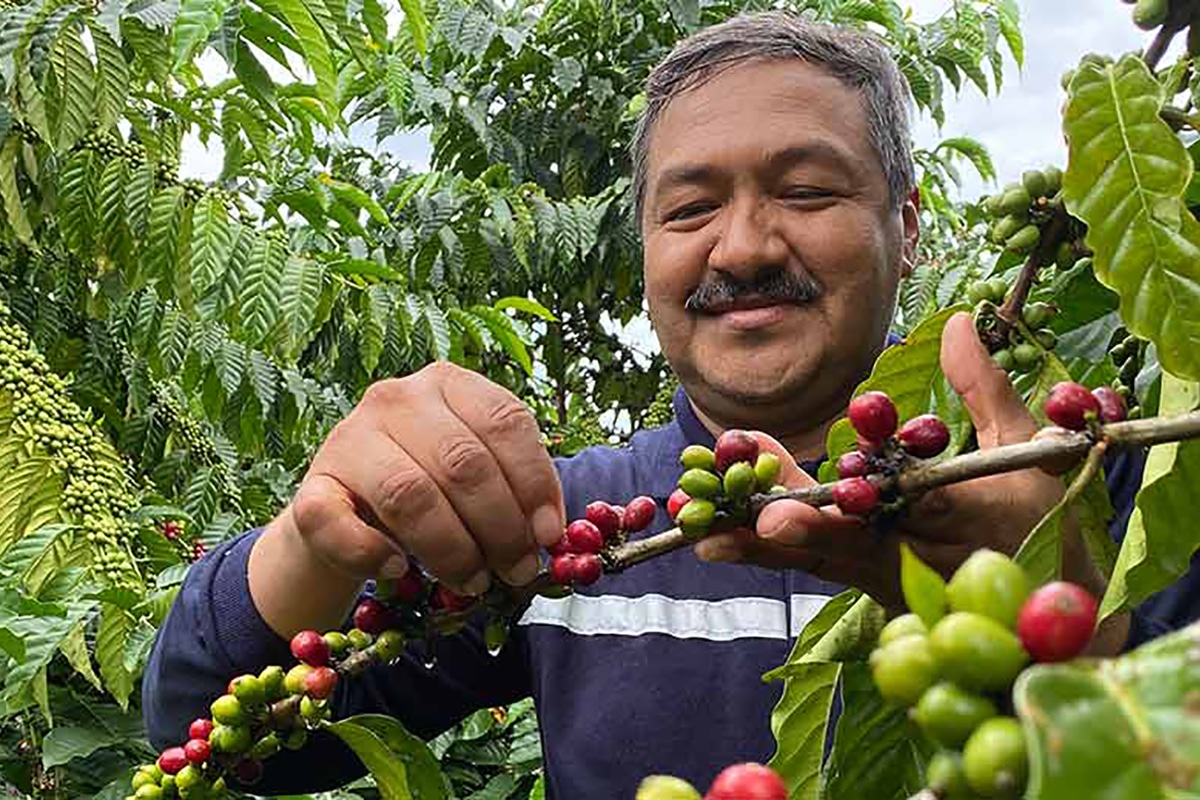 Nestlé scientists discover low carbon and drought resistant Robusta ...