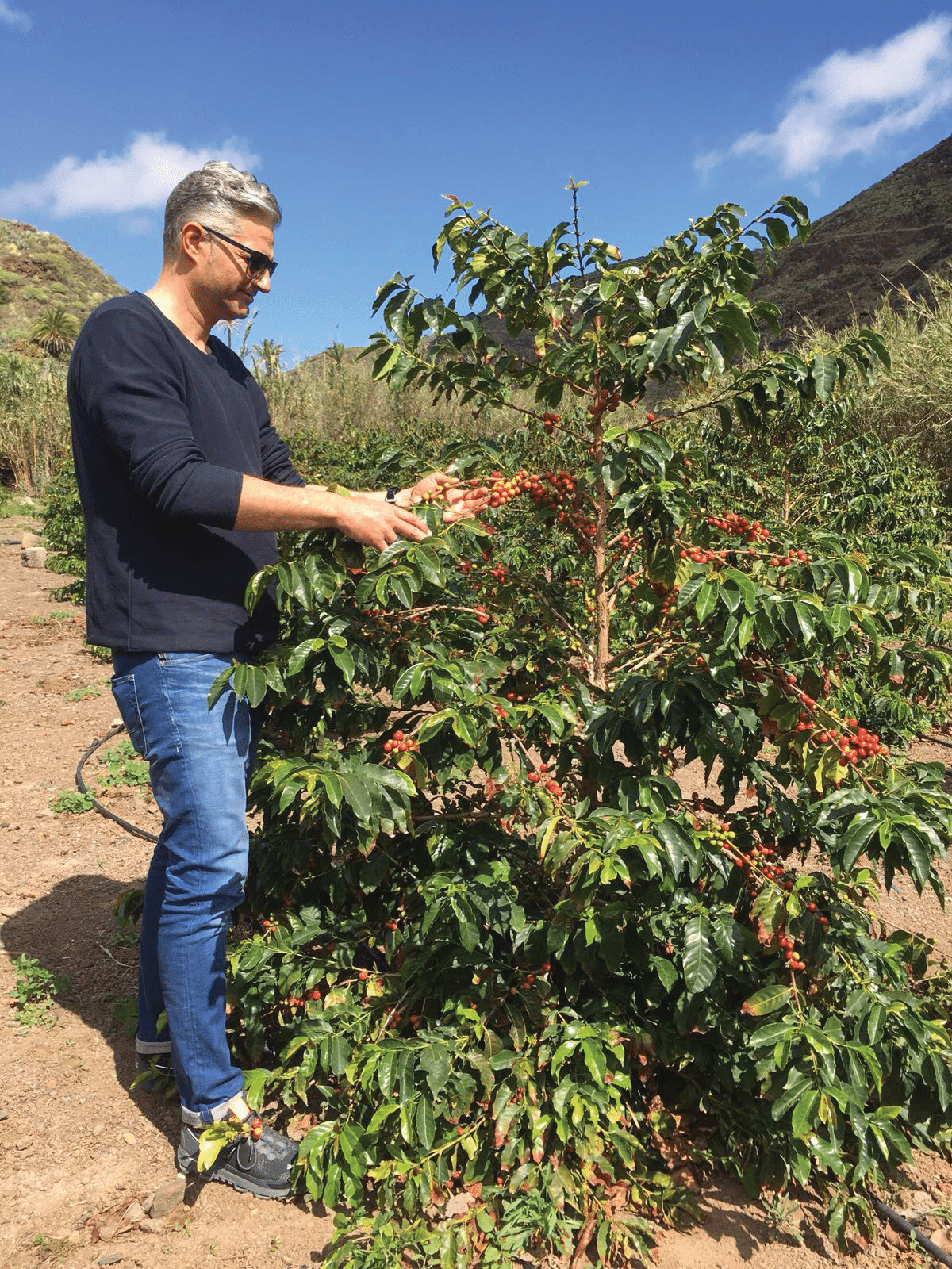 Mastercoldbrewer putting a new spin on cold brew technology