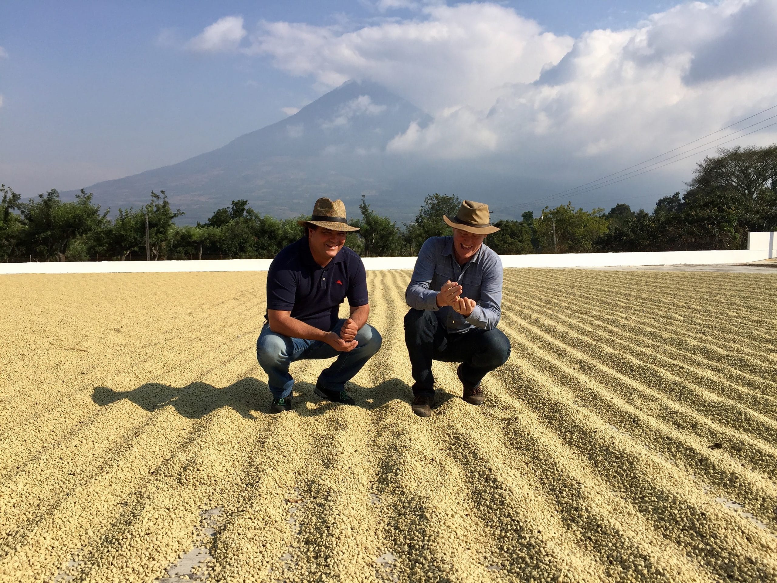 Peet’s Coffee achieves 100 per cent responsibly sourced coffee - Global ...