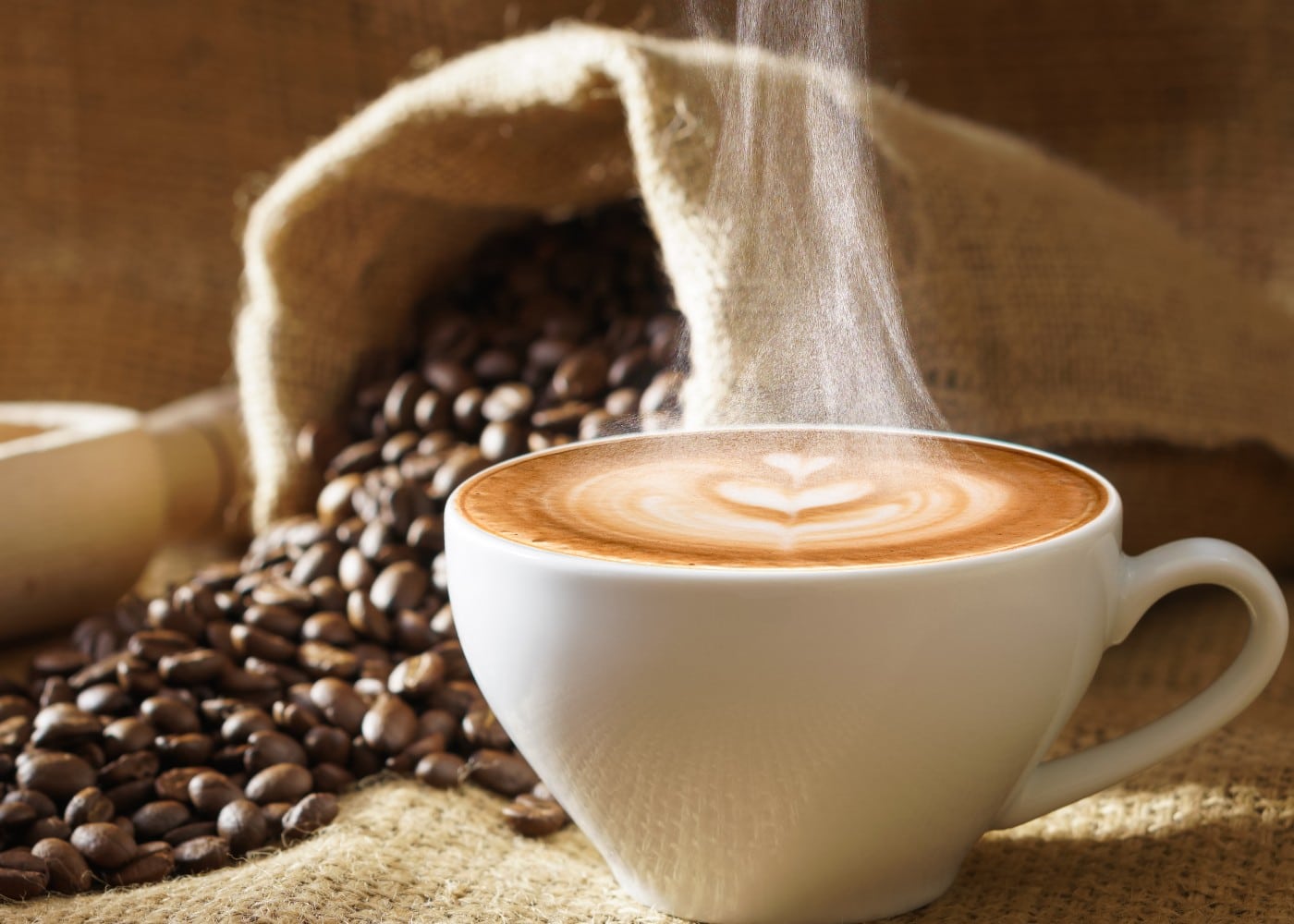 Best of Thailand CoE pilot program announced - Global Coffee Report