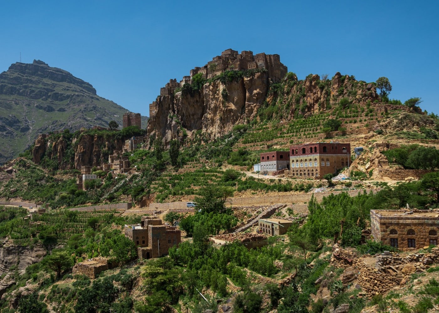 Qima Coffee and RD2 Vision lead scientific study to clarify Yemeni ...