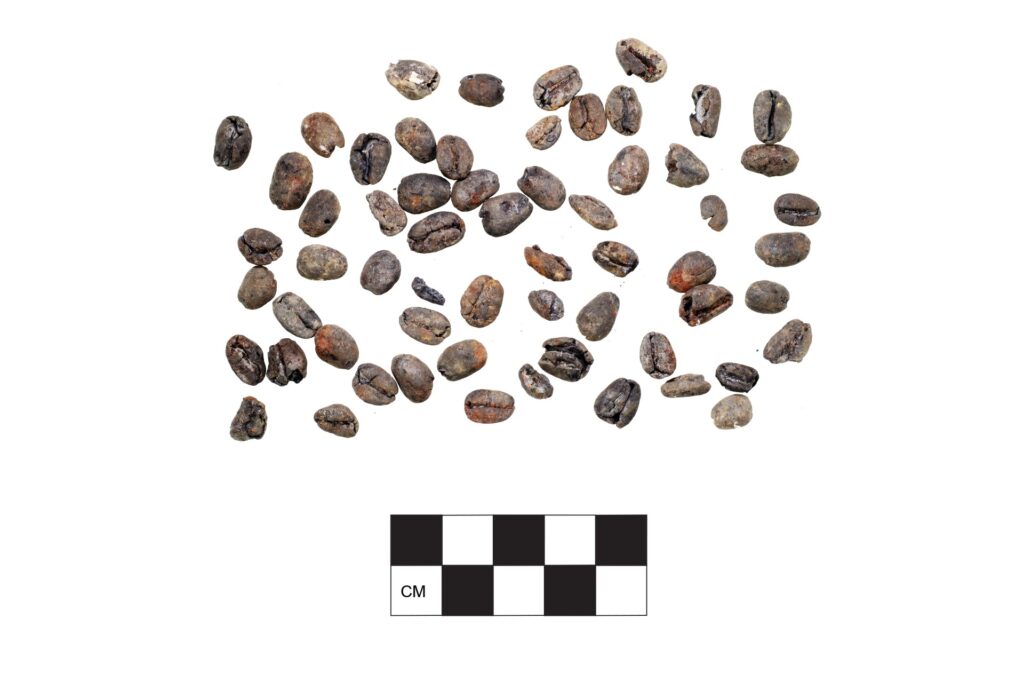 Melbourne archaeological dig traces its coffee culture back to 1850s ...