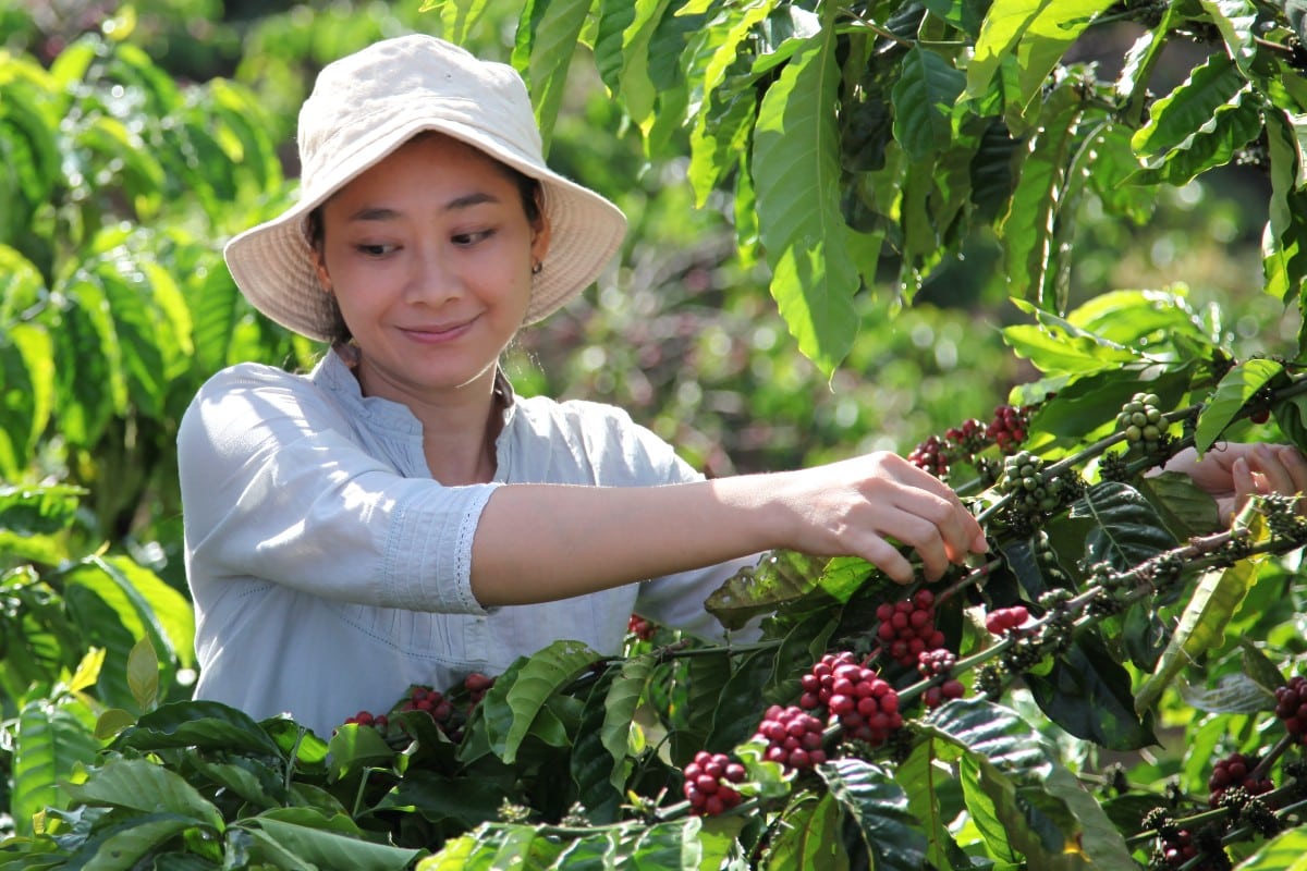 Nestlé launches Nescafé Plan 2030 - Global Coffee Report