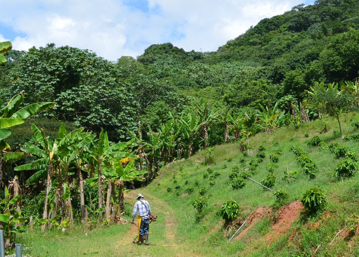 Join Gcp Collective Reporting With 18 Recognised Sustainability Schemes