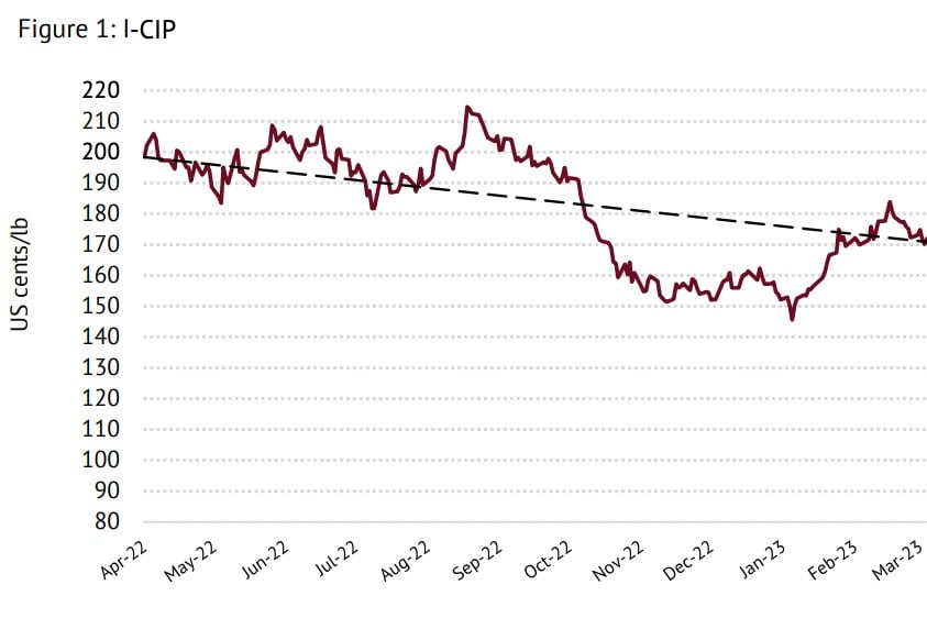 I-CIP makes late gains to limit losses: ICO report - Global Coffee Report