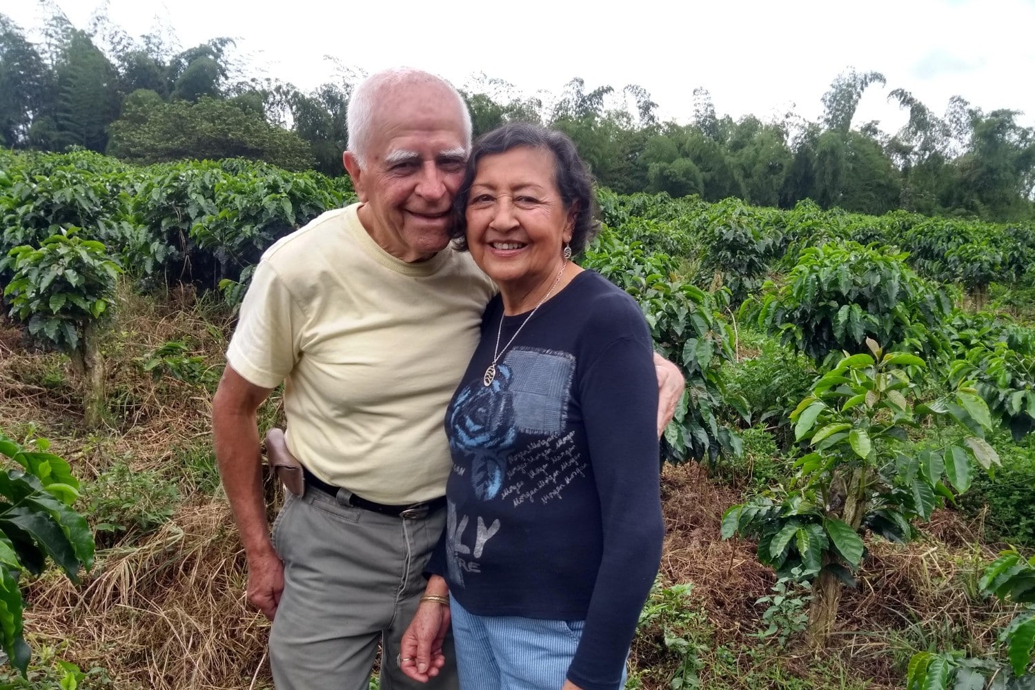 How harvest migration is impacting the coffee supply chain - Global ...