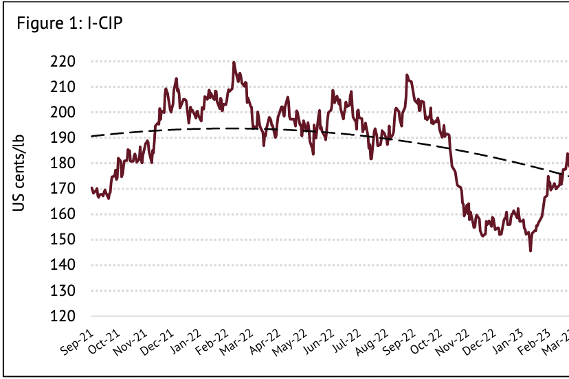 Robusta price remains at near-record high: ICO market report - Global ...