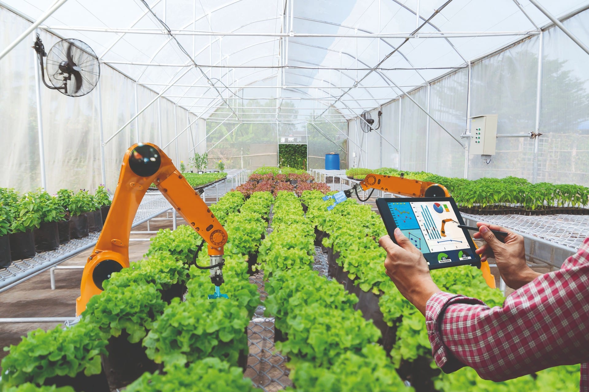 The impact of artificial intelligence on the coffee industry - Global ...