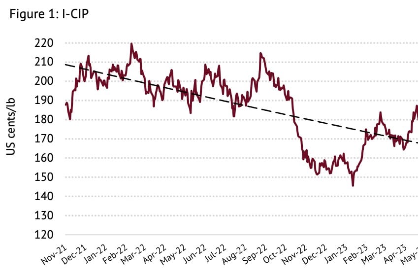 I-CIP bounces back in November 2023: ICO report - Global Coffee Report