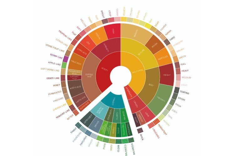 An introduction to the Coffee Character Wheel - Global Coffee Report
