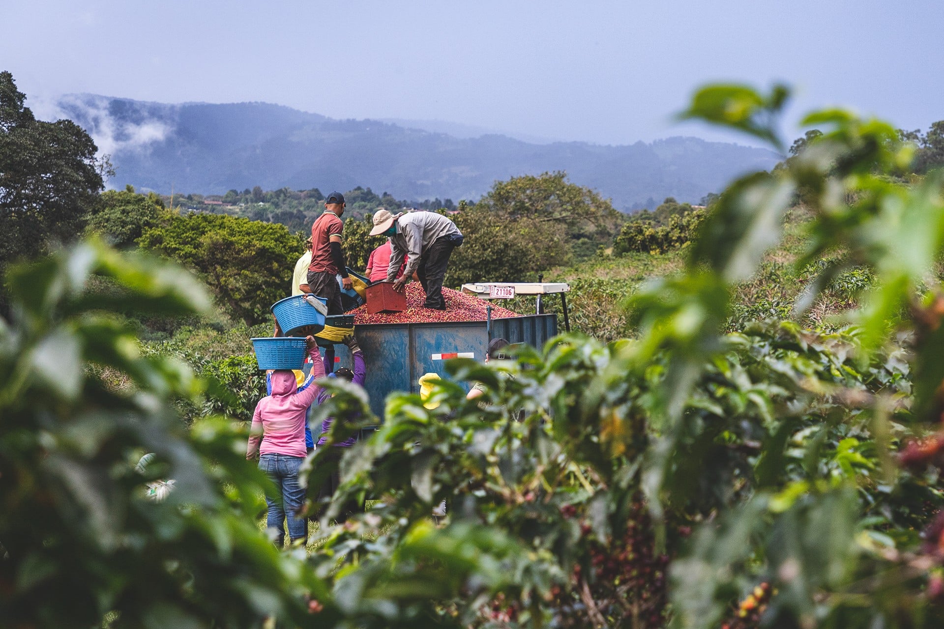 Costa Rica hosts first Café World Summit - Global Coffee Report