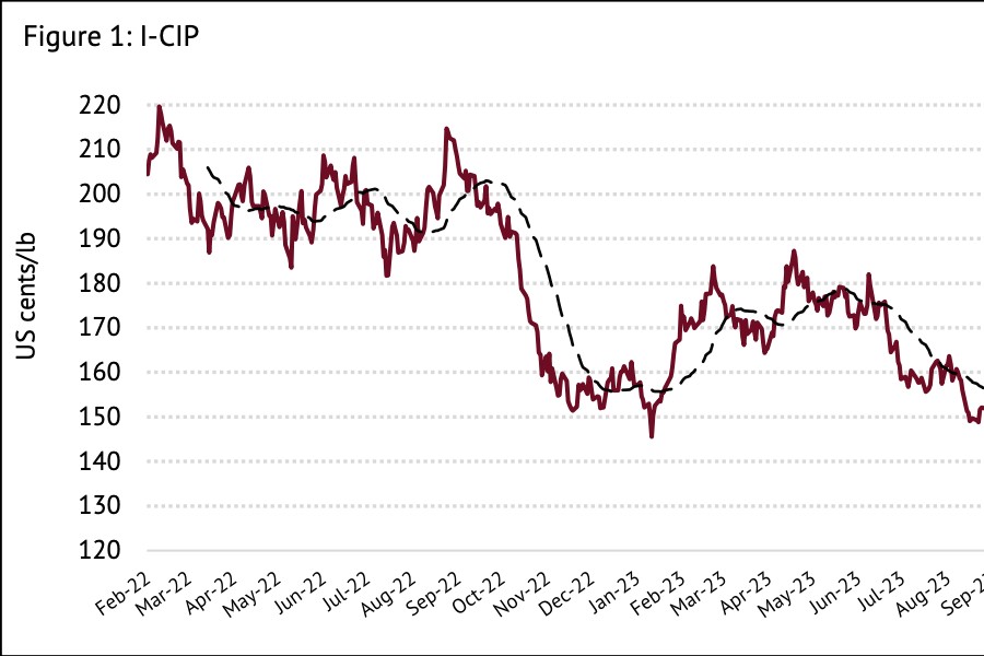 I-CIP reaches 17-month high: ICO market report - Global Coffee Report