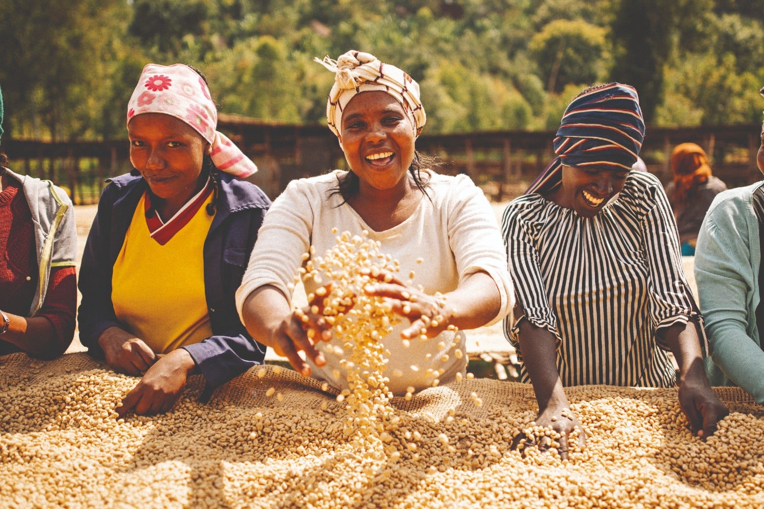 Nespresso's AAA Sustainable Quality Program turns 20 - Global Coffee Report