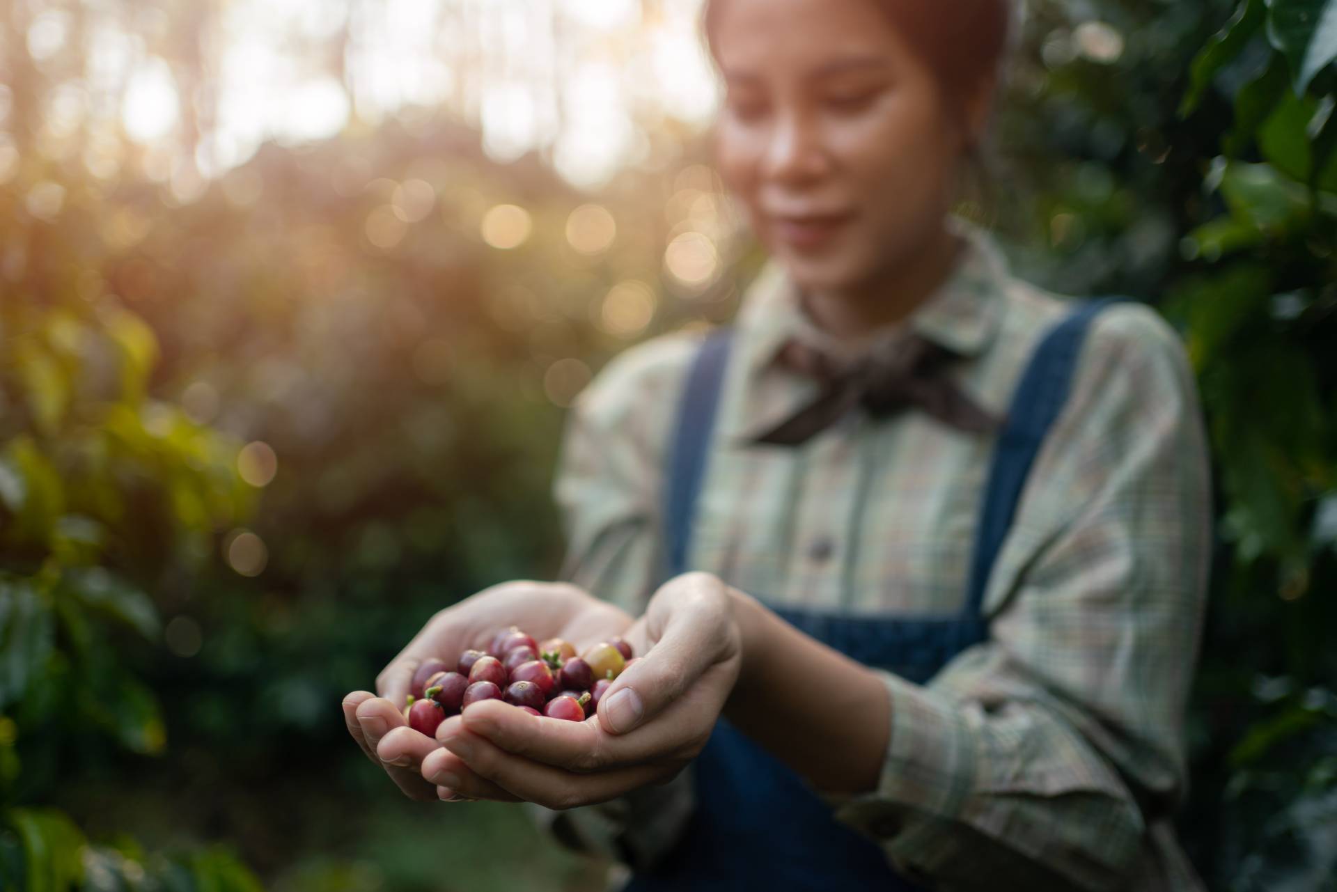 Groupe SEB’s professional coffee machine unit's commitment to ...