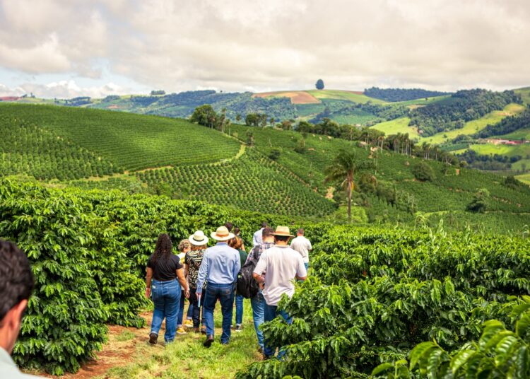 Coffee Certifications Archives - Global Coffee Report