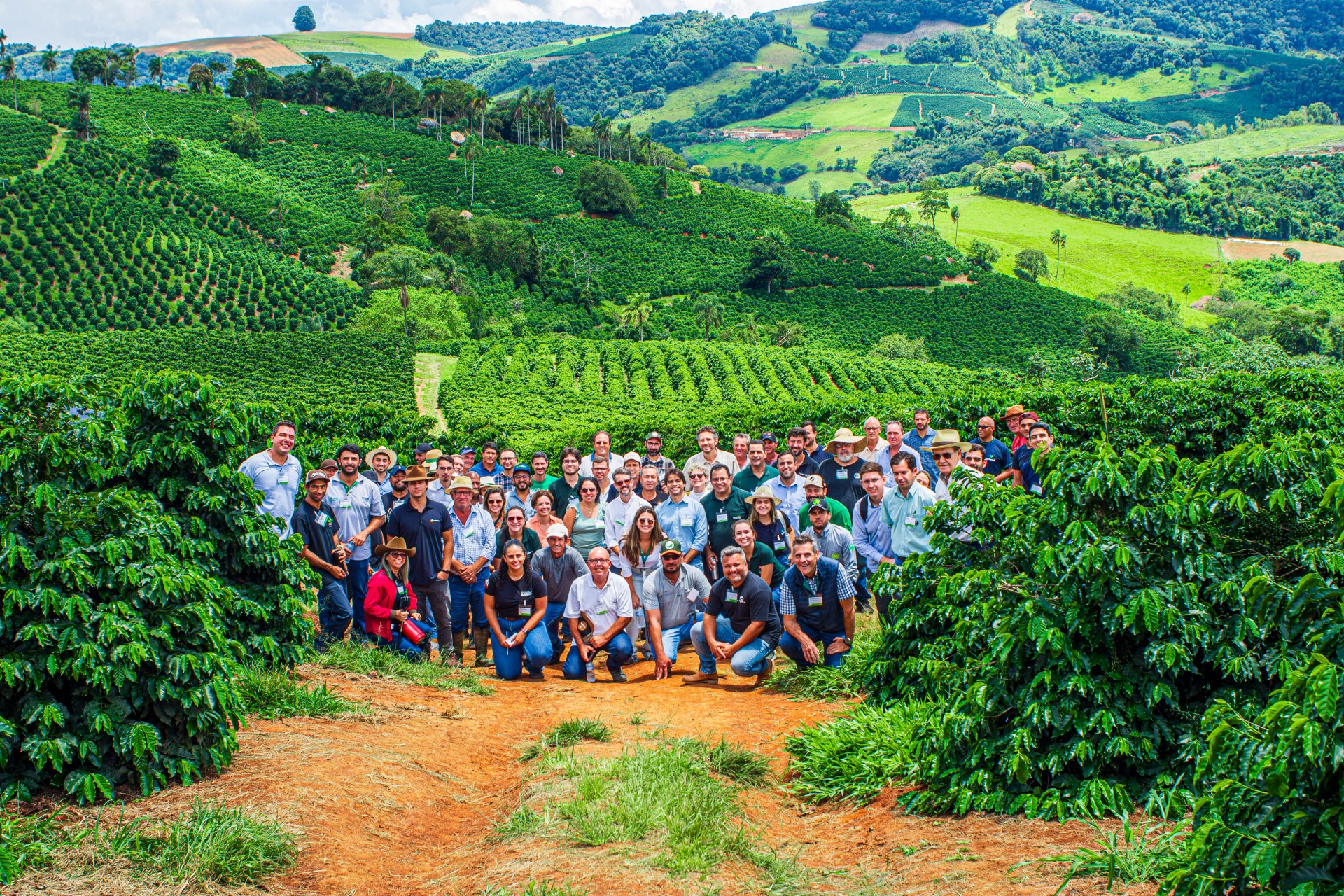 Global Coffee Platform on the importance of regenerative agriculture ...