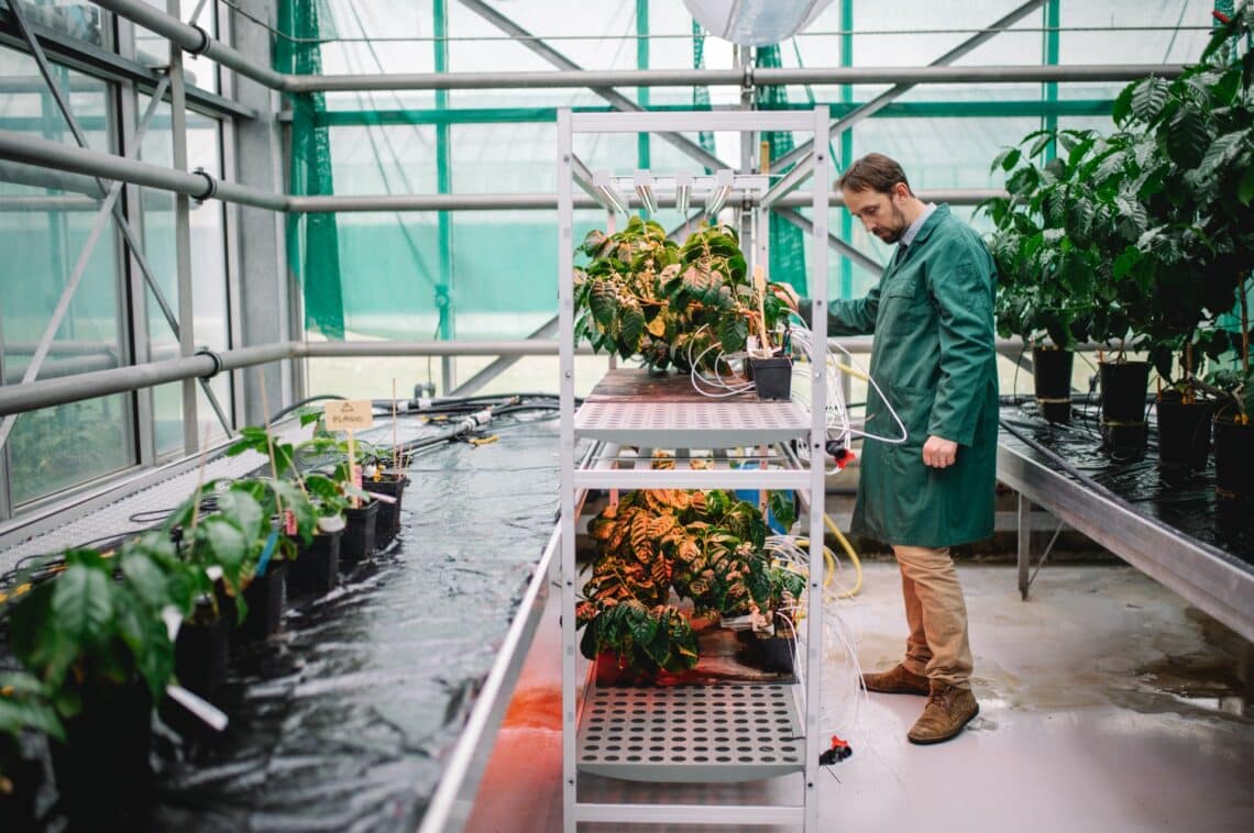 Nestlé on developing future-proof coffee - Global Coffee Report