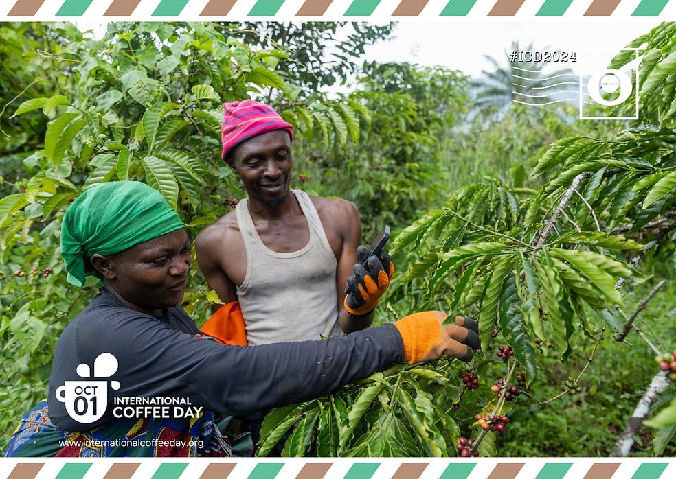 ICO invites coffee sector to embrace collective action - Global Coffee ...