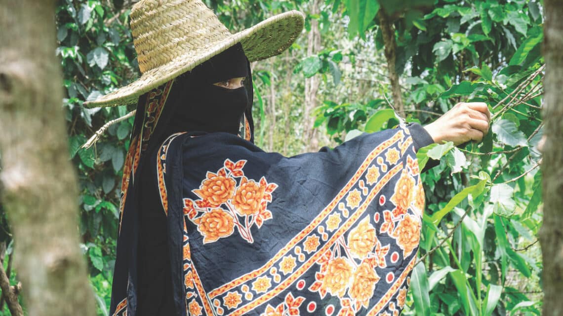 Best of Yemen 2024 auction sets new global benchmark - Global Coffee Report