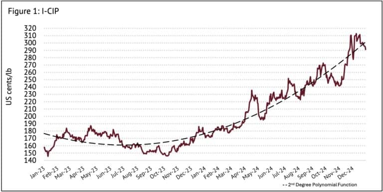I-CIP closes 2024 up 40 per cent: ICO Report - Global Coffee Report