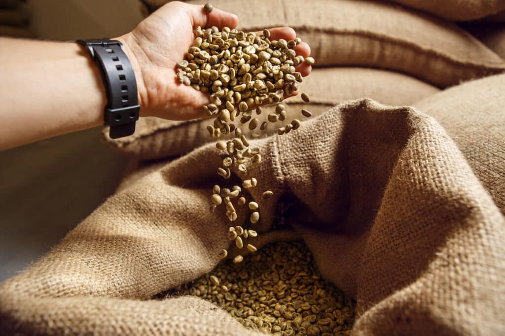 Research paves way for science-backed green coffee standards - Global ...