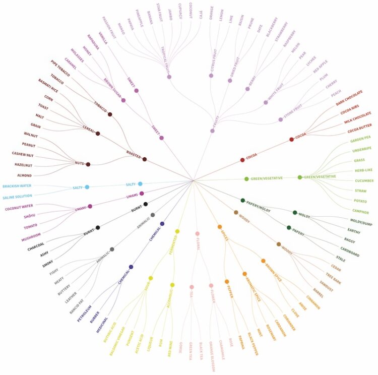 The science behind the new Robusta flavour wheel - Global Coffee Report
