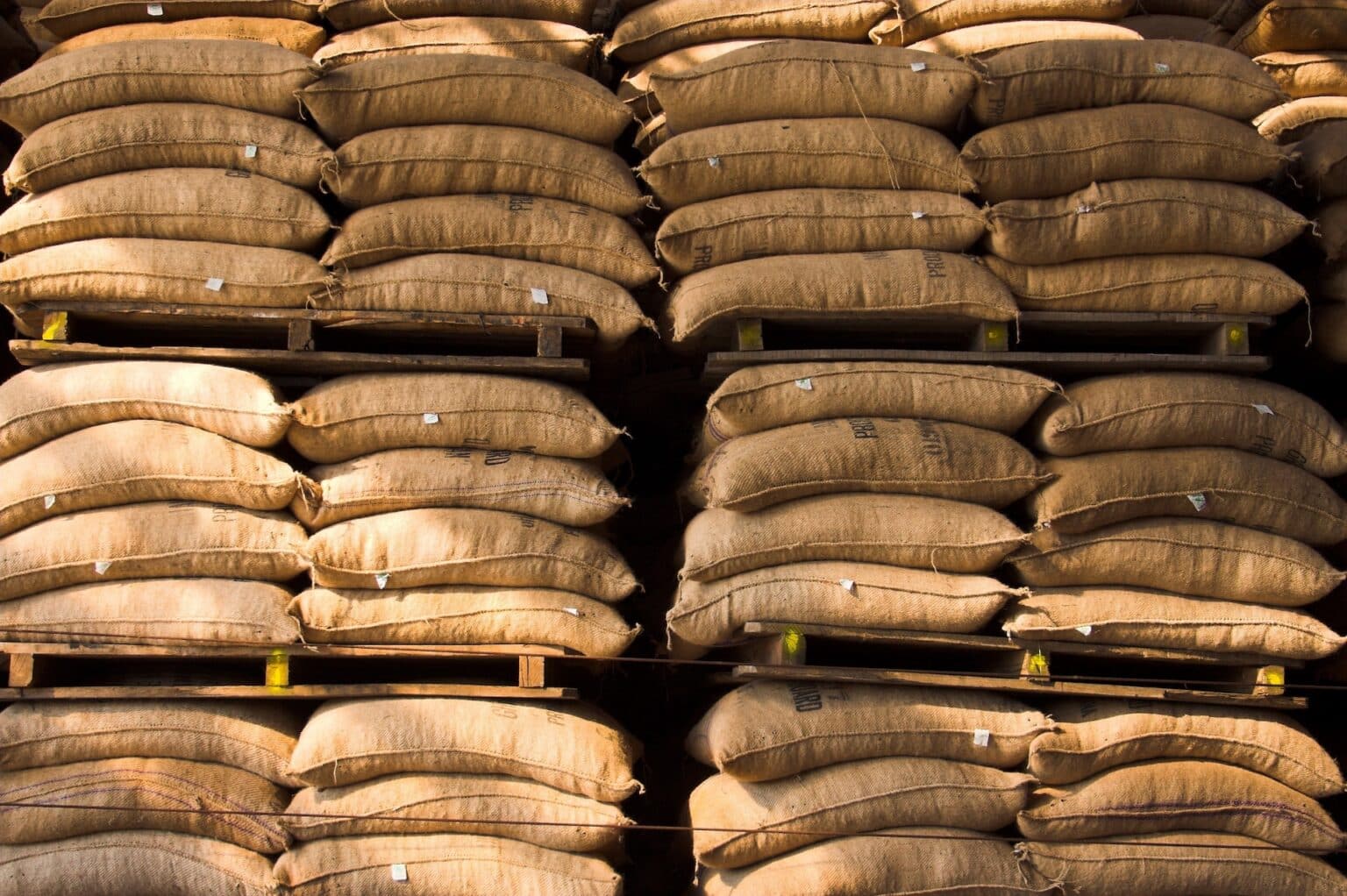 Brazil coffee exports surge globally – except for US - Global Coffee Report
