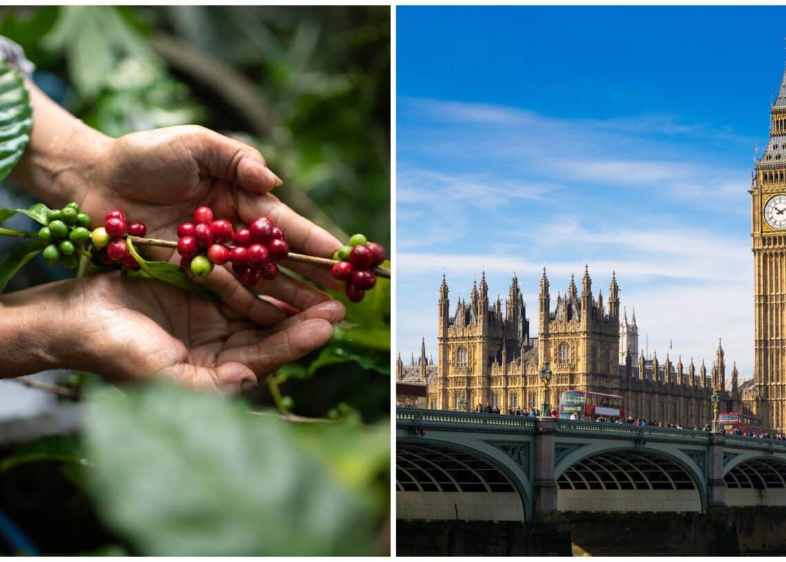 Nestlé appoints new Nespresso CEO - Global Coffee Report