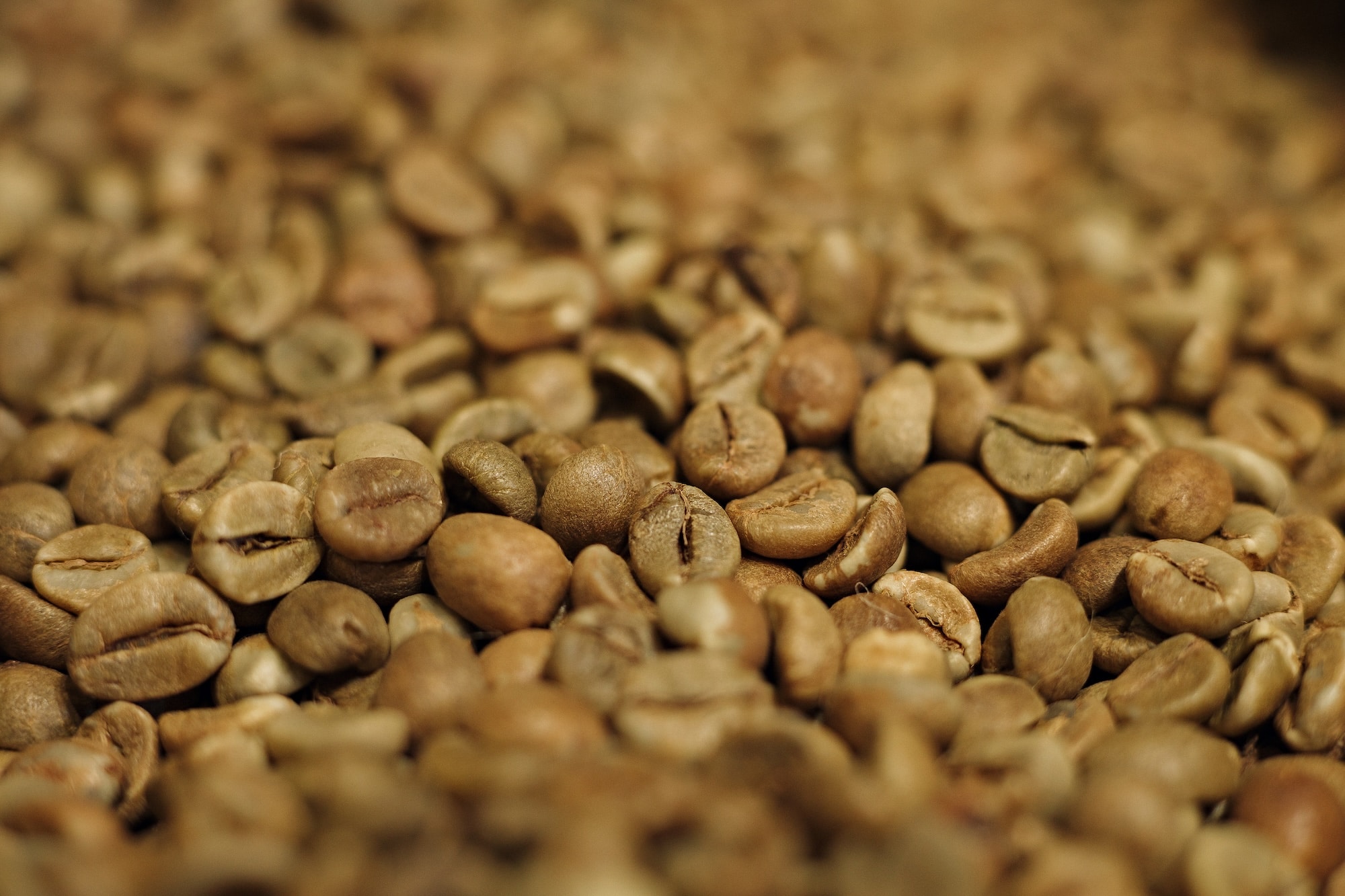 Volcafe North American operations consolidated - Global Coffee Report